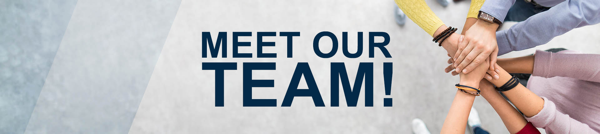 Our Team